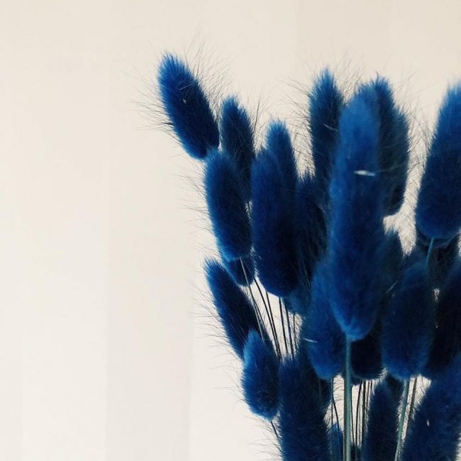 Dark Blue Bunny Tails - Aura Design Shop